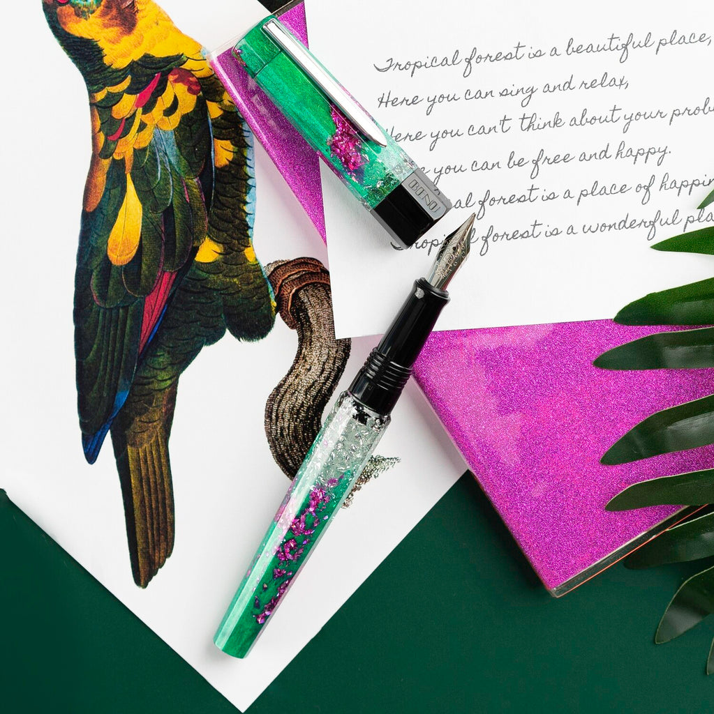 BENU Euphoria Fountain Pen - Pink Guava – Lemur Ink